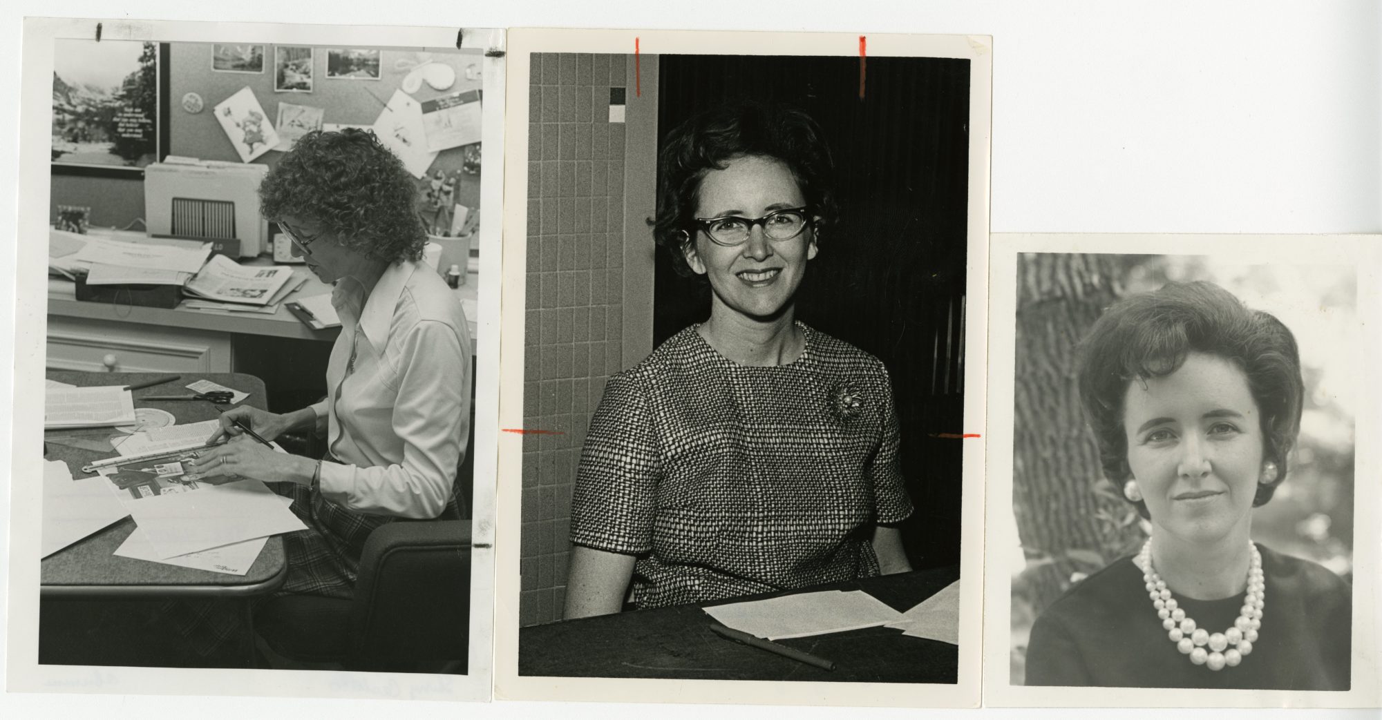 The Abundant Life of Sherry Castello - The Baylor Line