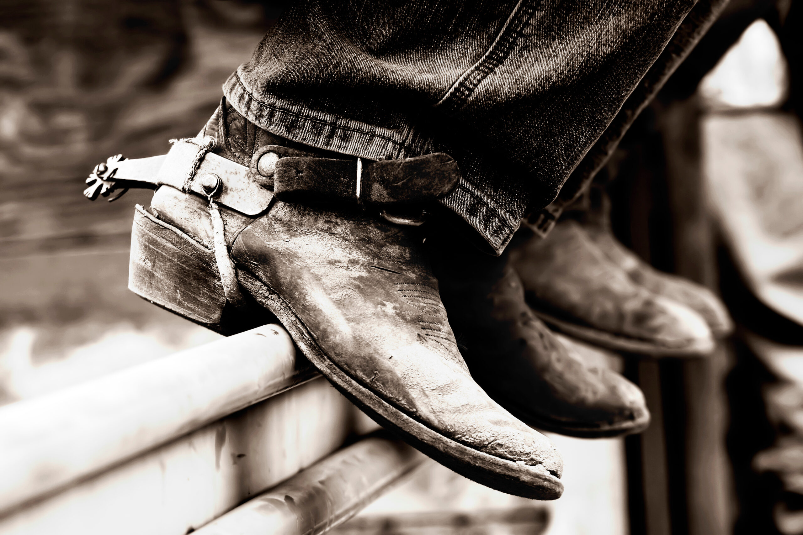 Get Your Cowboy On: Waco's Western Attractions - The Baylor Line