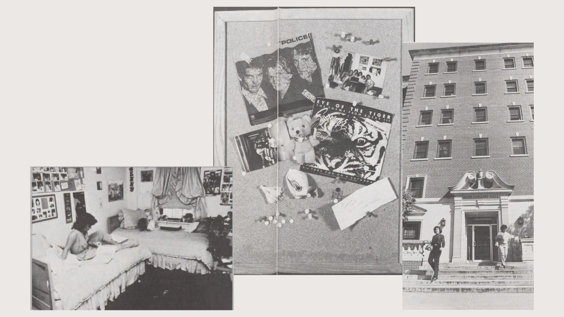 Collins Now - The Baylor Line